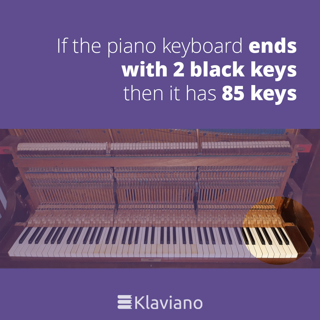 STEINWAY - 9 things you need to know before buying a piano (Beginner’s ...
